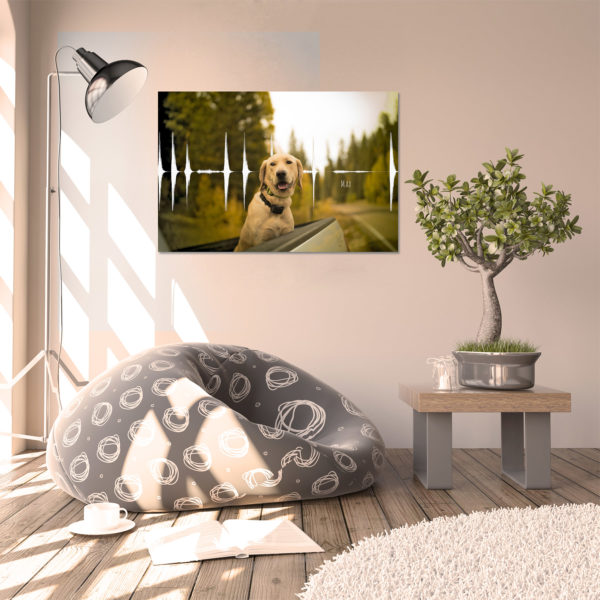 Dog Bark Soundwave with Photo - Sound Wave Picture™